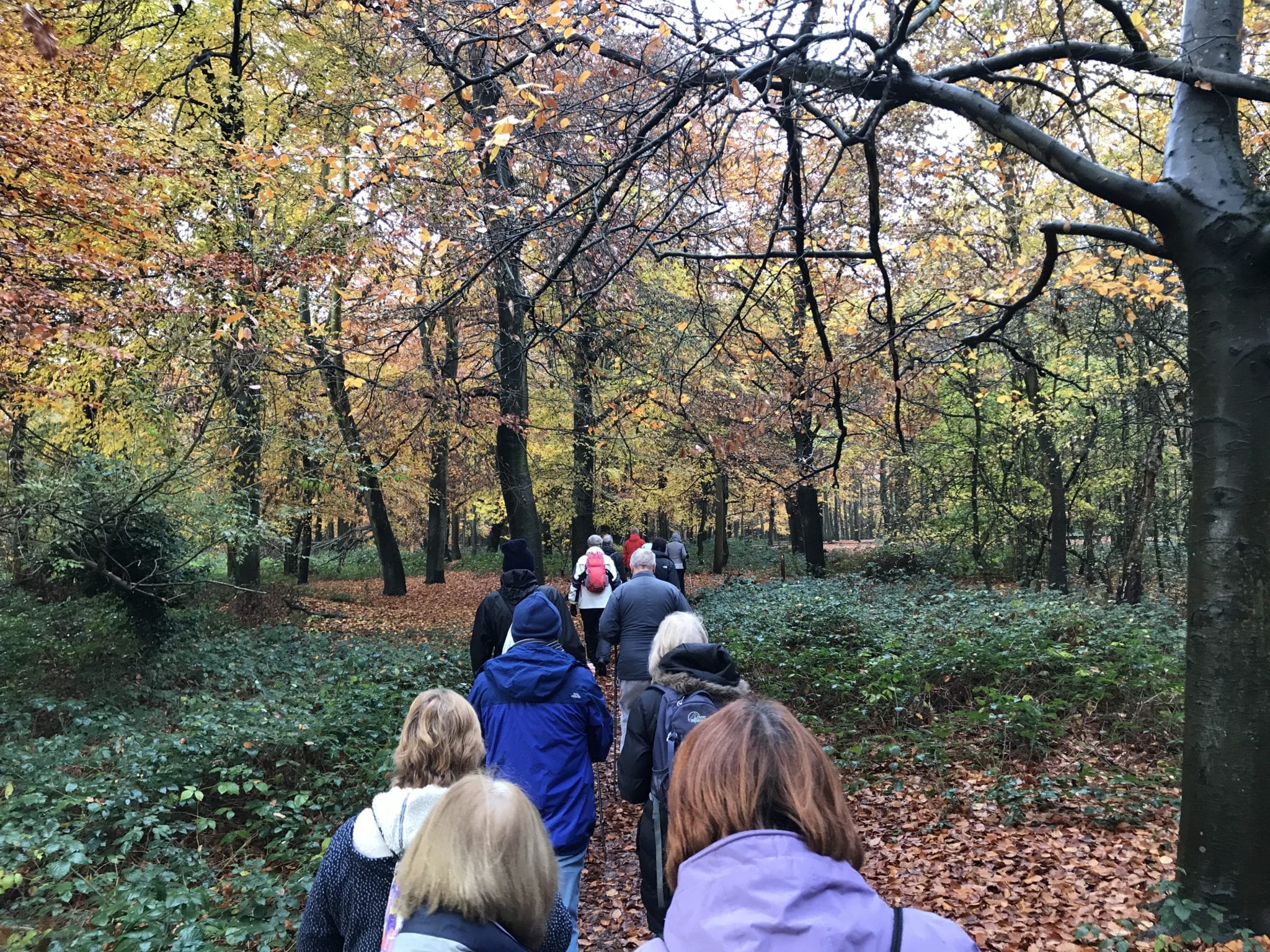 TfL grants promote walking and cycling | CiTTi Magazine