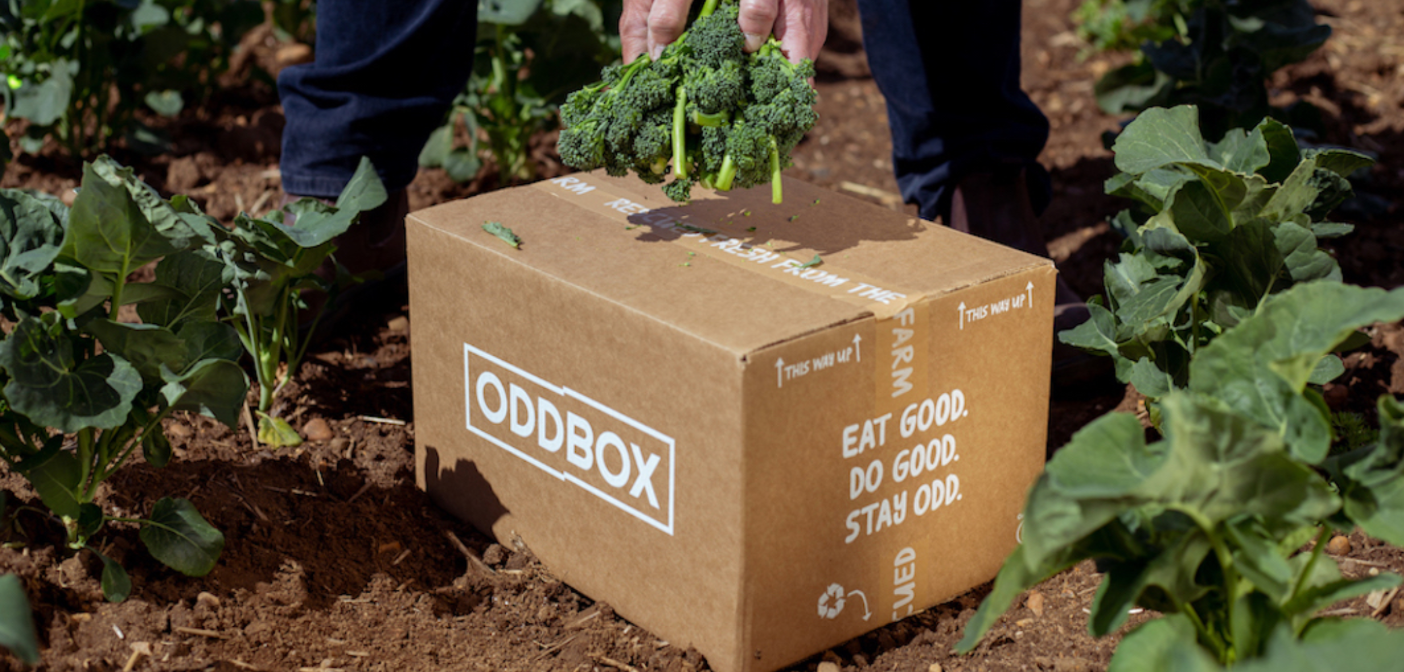 Sustainable food delivery firm Oddbox secures funding to fight food waste | CiTTi Magazine